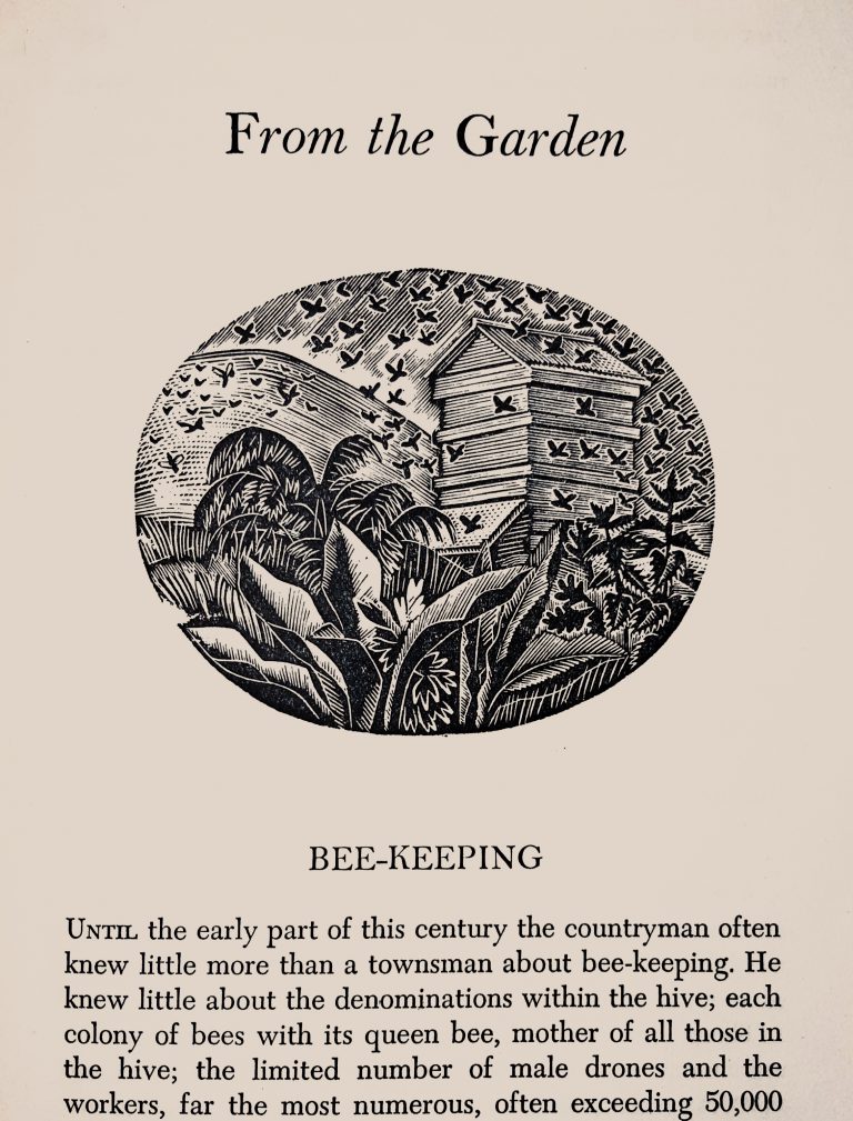 Eric Ravilious – Inexpensive Progress